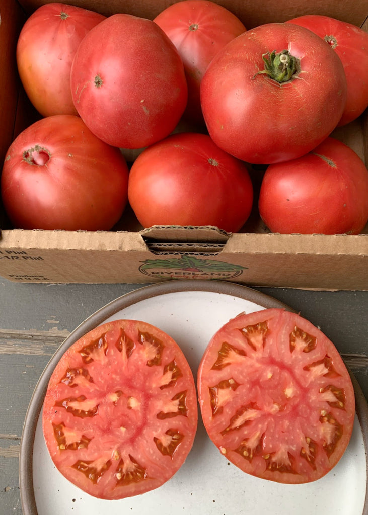 Tomato, 'Kurtovo Konare' | Uprising Seeds