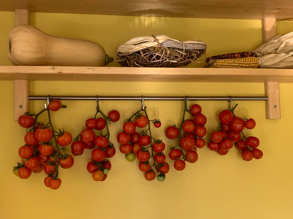 Tomato, 'Annarita' | Uprising Seeds