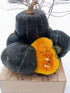Winter Squash, 'Bitterroot Buttercup' | Uprising Seeds