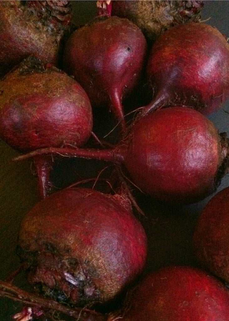 Beet, 'Boston' | Uprising Seeds