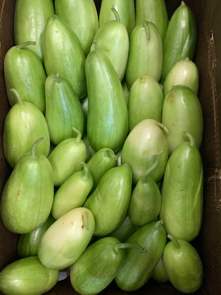 Carosello, 'Leccese Light Green' | Uprising Seeds
