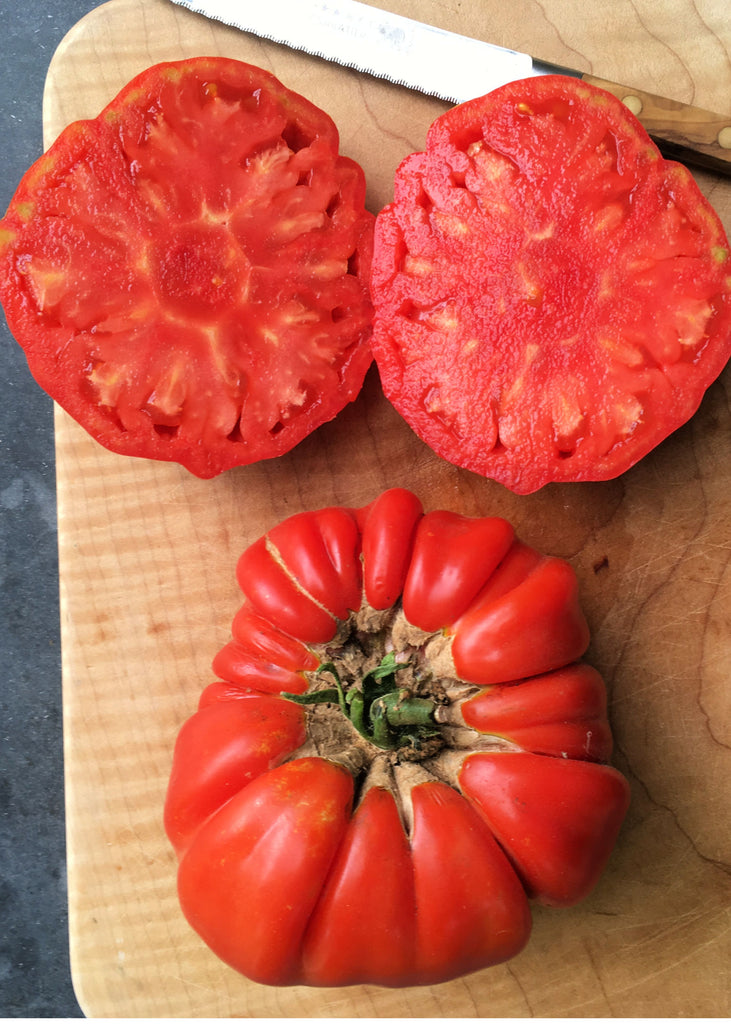 Tomato, 'Vernazza' | Uprising Seeds