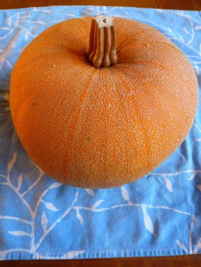 Pumpkin, 'Winter Luxury' | Uprising Seeds